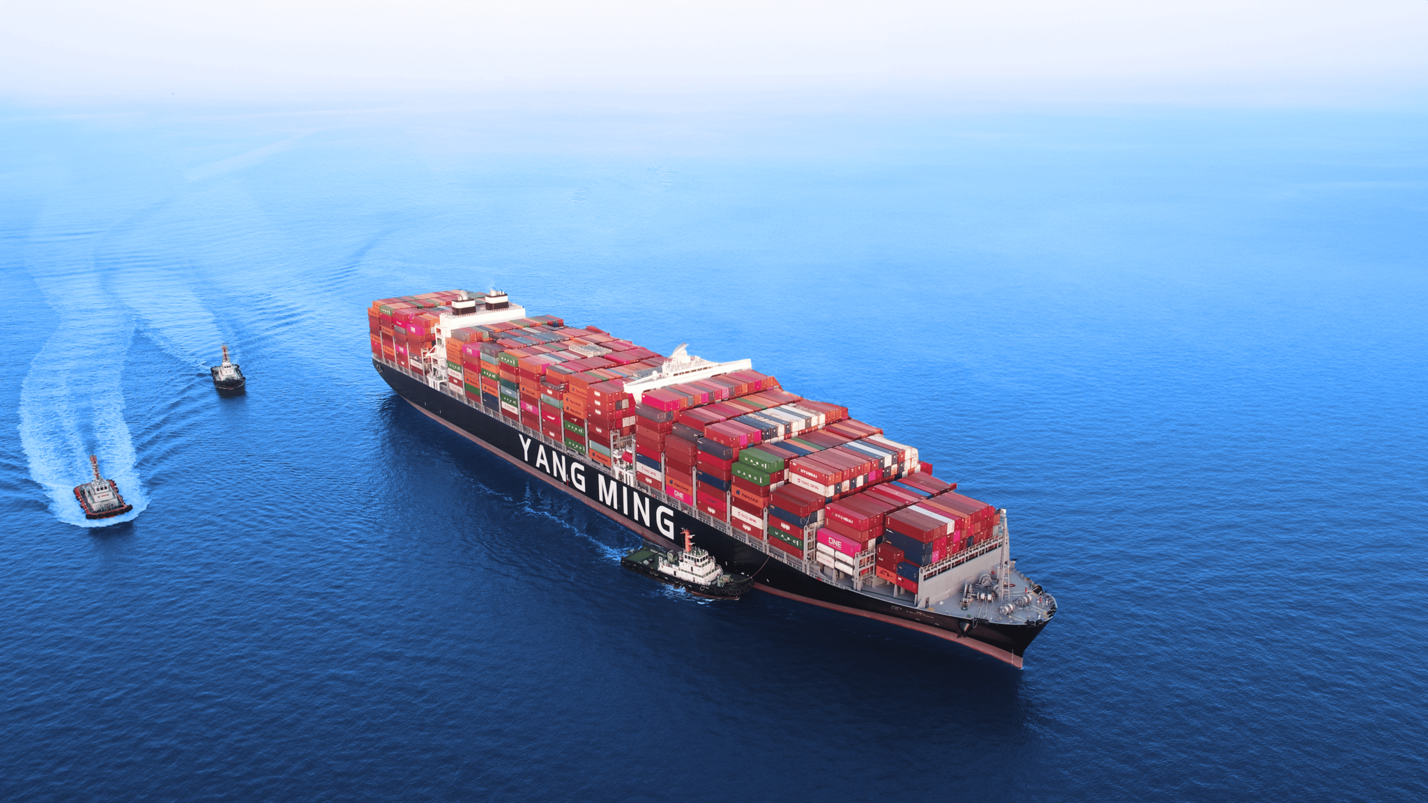 Yang Ming plans to build up to 13 new 8,000TEU to 15,000TEU container ...